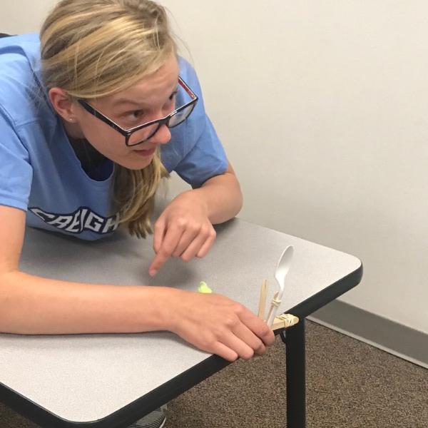 Arlington Public Schools - "Creativity in STEAM" (Science, Technology ...
